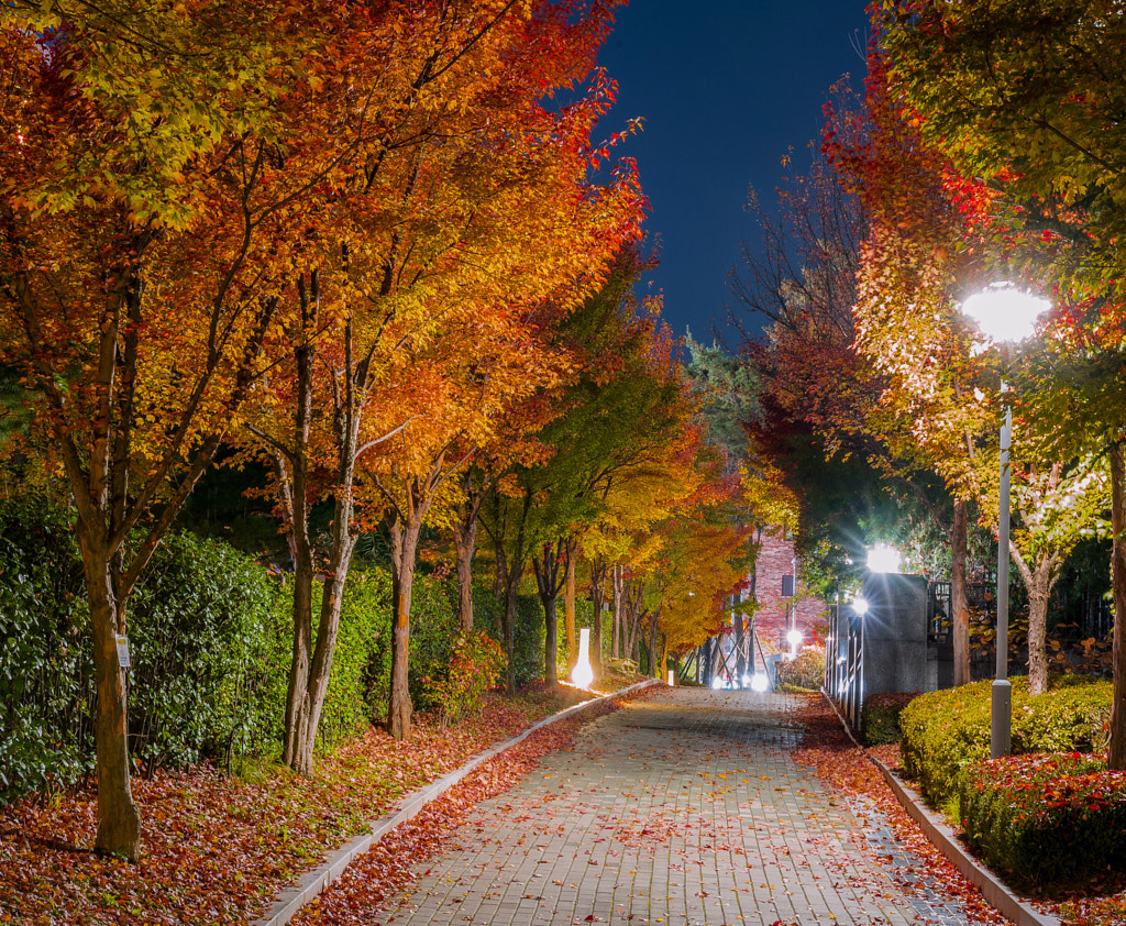 Home by Morosoph Yun / 500px