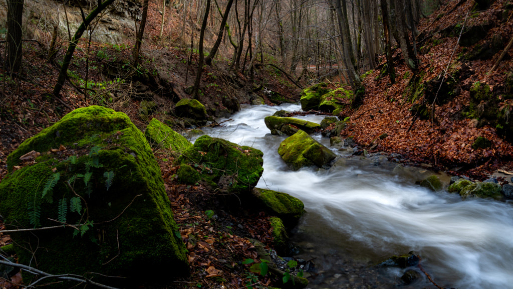 Natura073 by Marian Stan / 500px