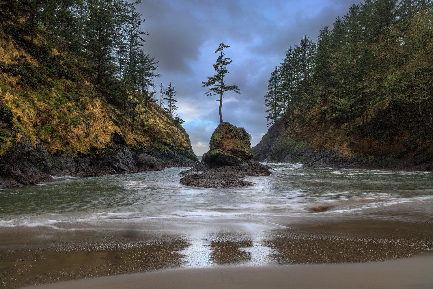 Lone Tree on a Rocky Beach | landscape photo by Greg Stokesbury | 500px