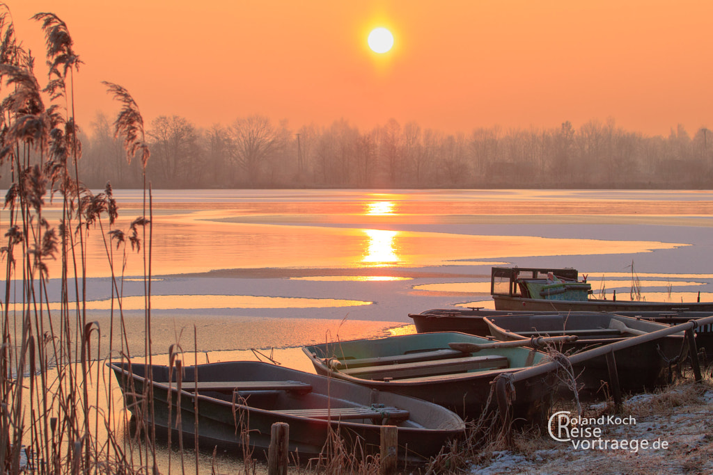 Frozen morning by Roland Koch / 500px