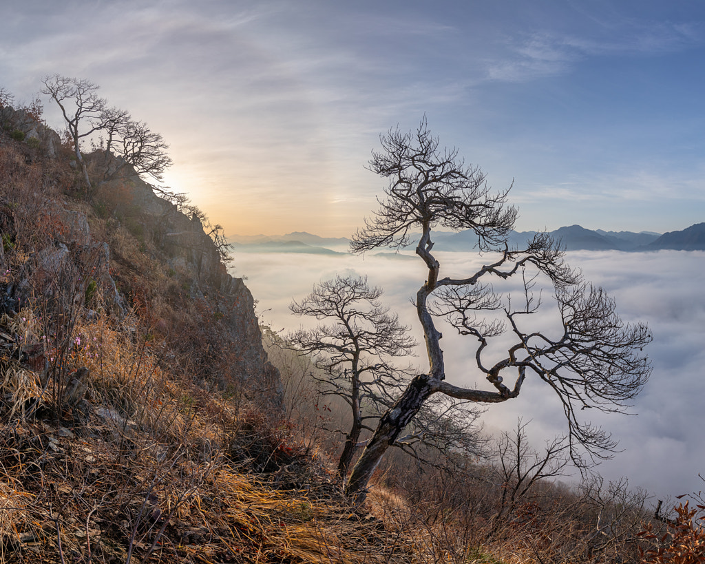 The Element of Hope by Jaeyoun Ryu / 500px