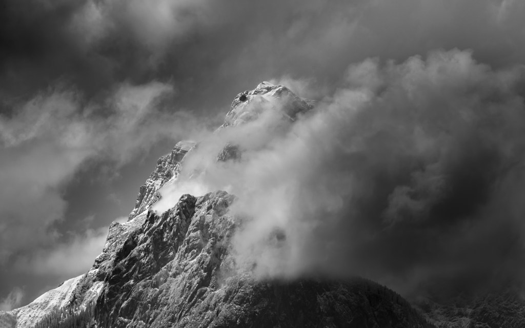 sunny side up by andy dauer / 500px