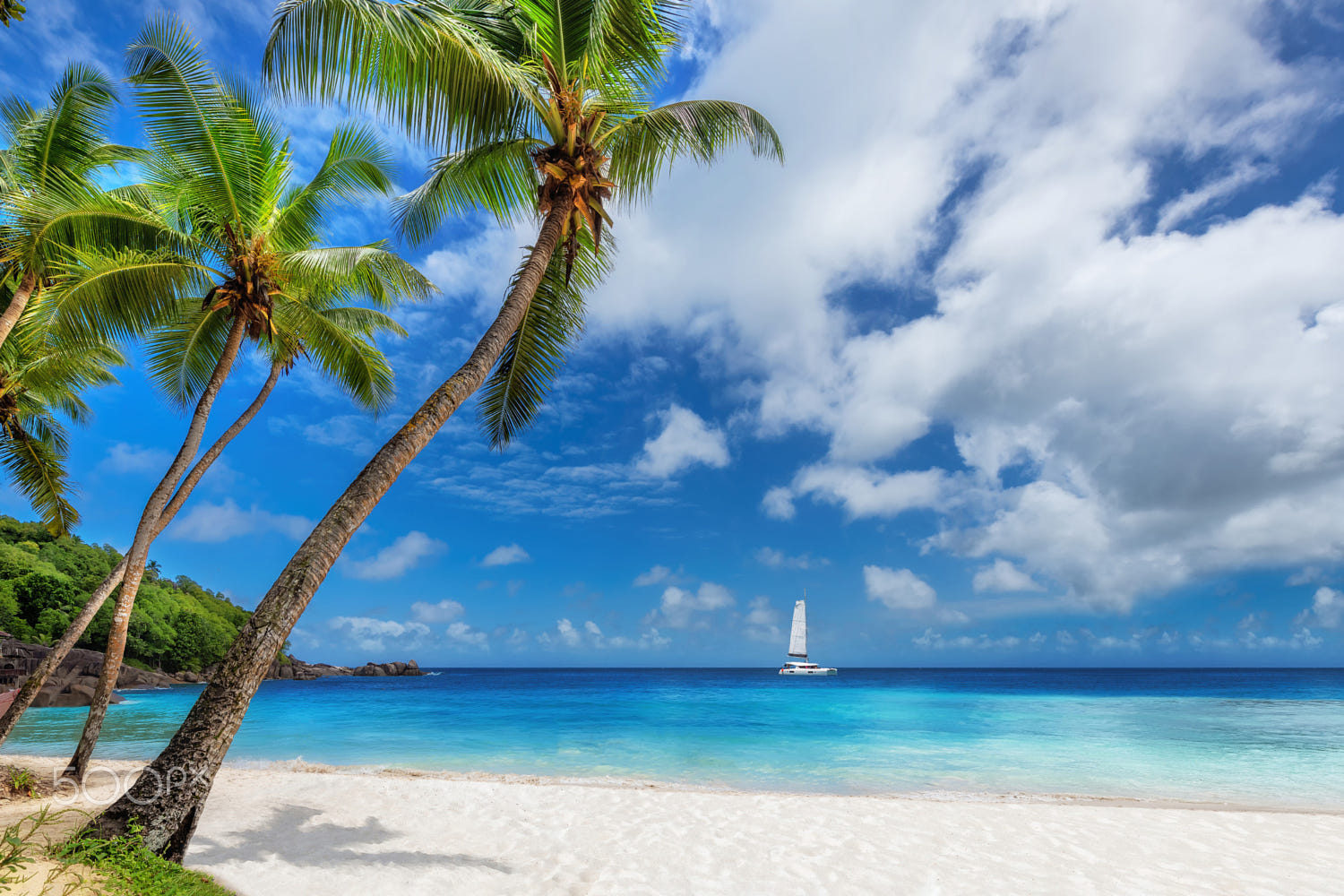 Paradise Caribbean Beach by Dmitry Vinogradov / 500px Paradise Caribbean Beach by Dmitry Vinogradov / 500px