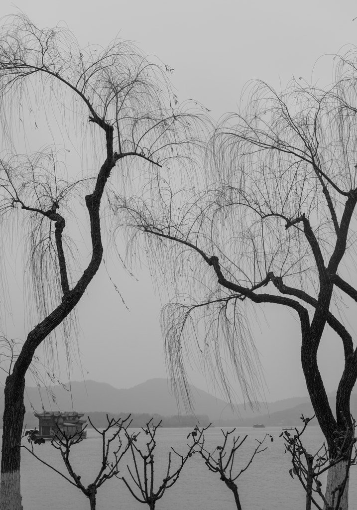 入画 by Qihang Zhang / 500px