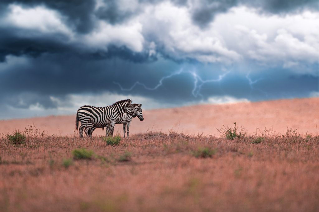 Nature getting worst ! by Sudipta Chakraborty / 500px