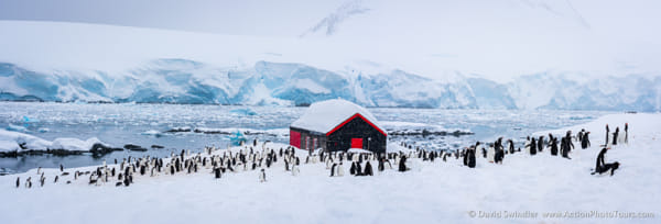 David Swindler (dswindler) Profile / 500px