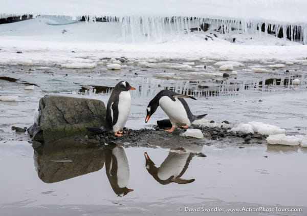 David Swindler (dswindler) Profile / 500px