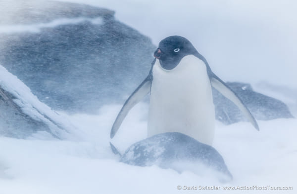 David Swindler (dswindler) Profile / 500px