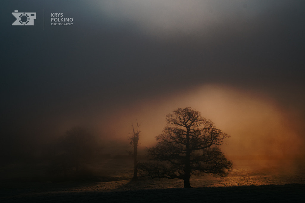 Morning View by KrysPolkino Photography / 500px