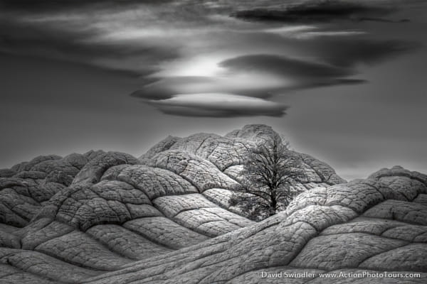 David Swindler (dswindler) Profile / 500px