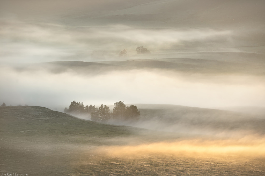 "Foggy morning" by Arseny Kashkarov / 500px