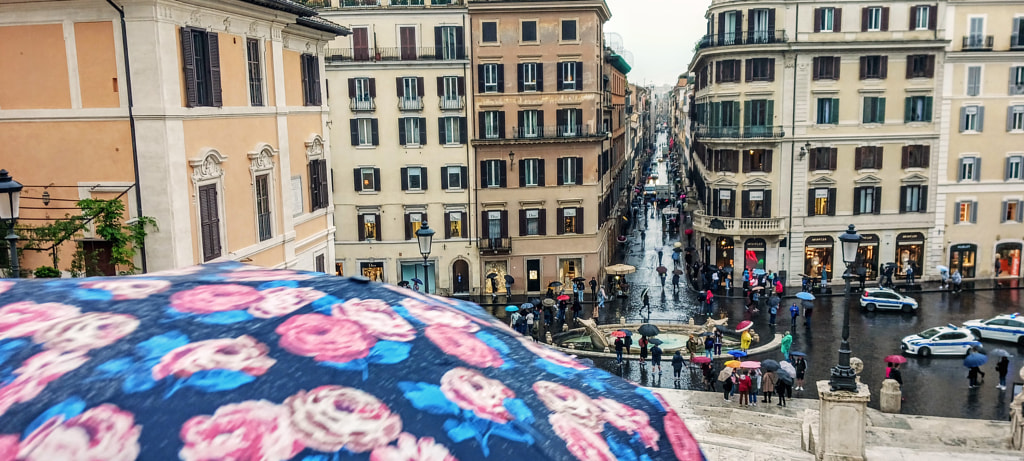 Group of people holding umbrellas during a rainy day in Rome Italy by ...