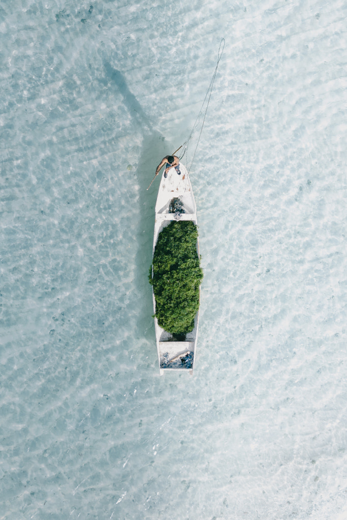 View from above of an algae farmer by Francisco Santos / 500px