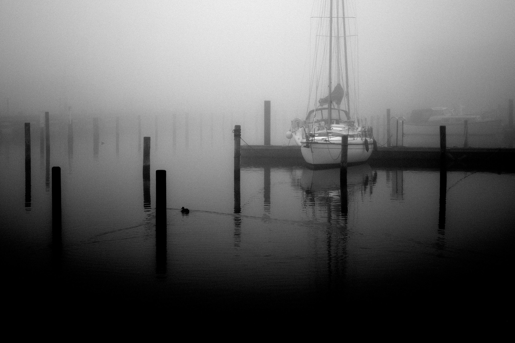 Faaborg Marina, Denmark in fog 2023 by poul-erik riis / 500px