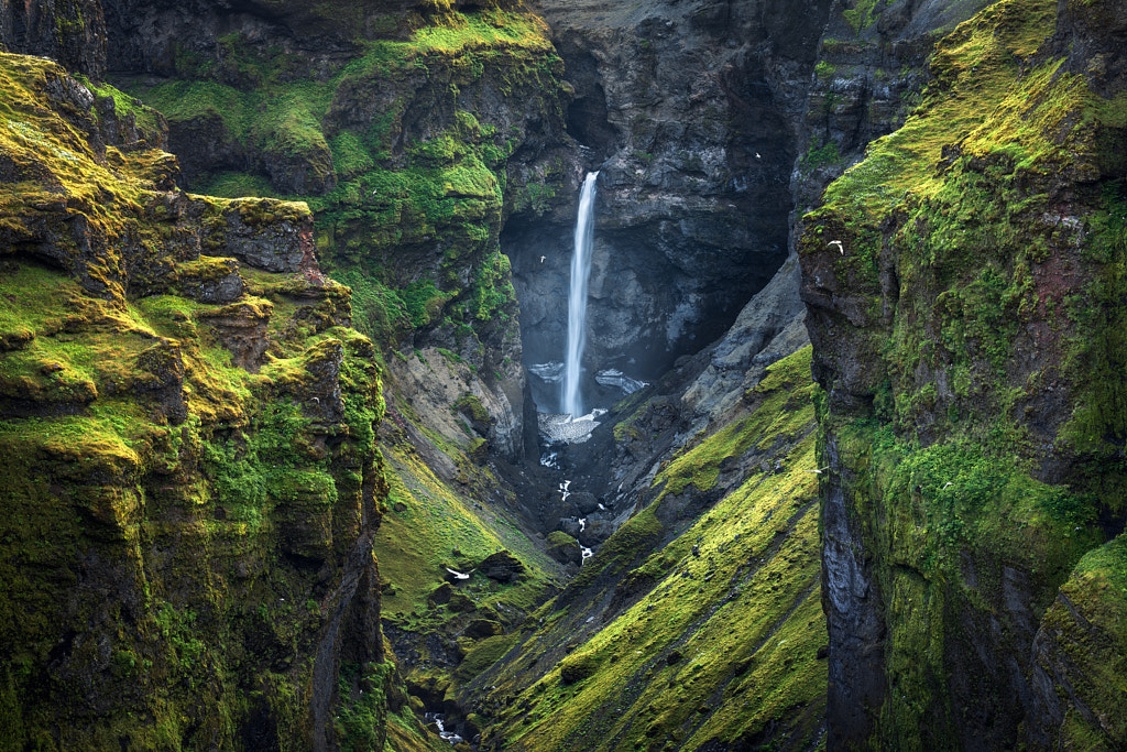 Green Icelandic Canyon by Daniel Gastager / 500px