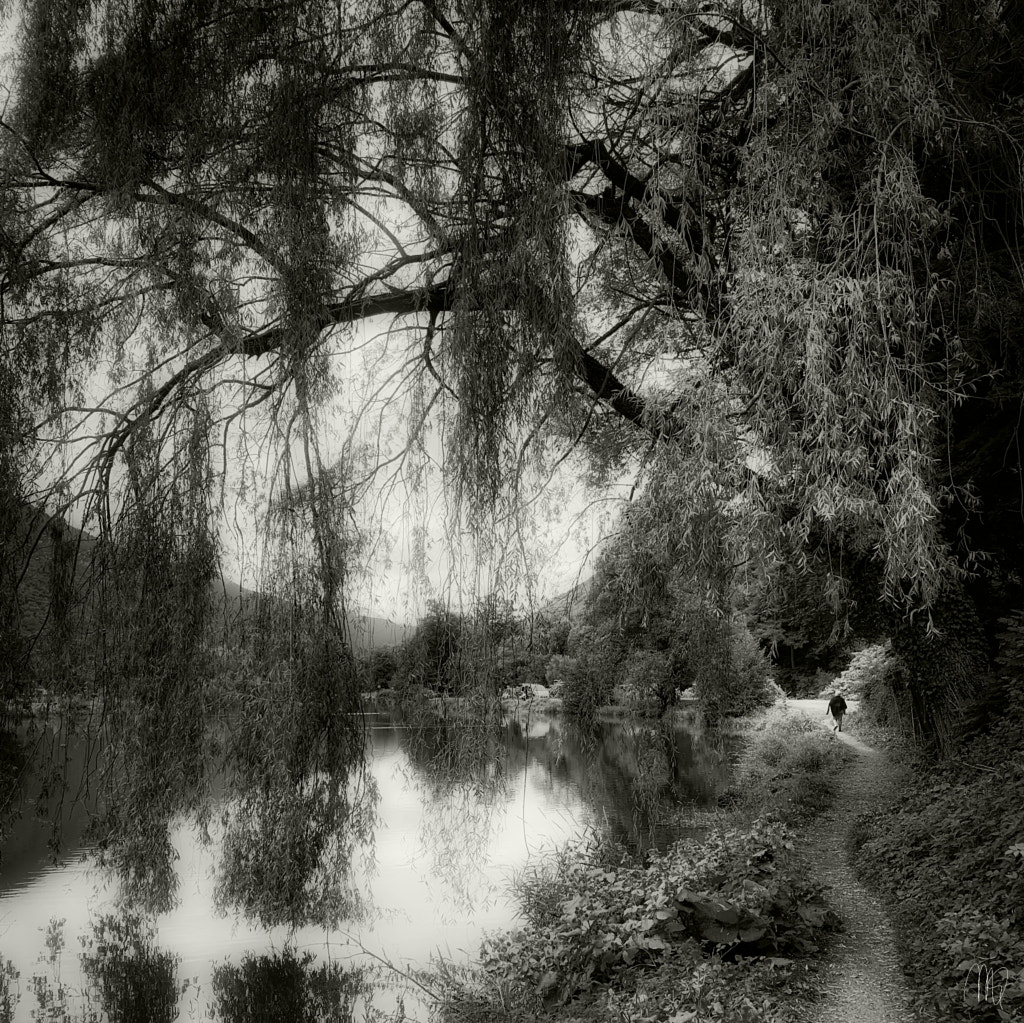 A peaceful place to relax by Michel Gradelet / 500px