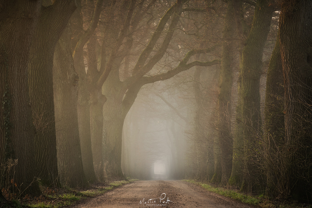 Morning glow by Martin Podt / 500px
