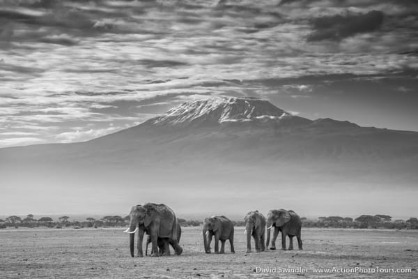 David Swindler (dswindler) Profile / 500px