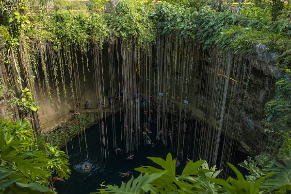 Ancient Cenote with Hanging Vines and Swimmers | landscape photo by ...