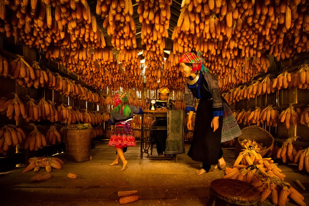 In the corn house by Xuan Nguyen / 500px