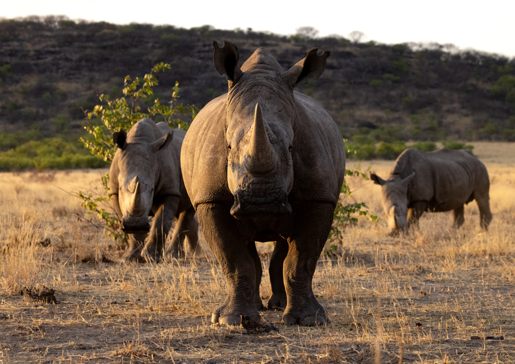 Close Encounter of the Three Kind by Mik Peach / 500px