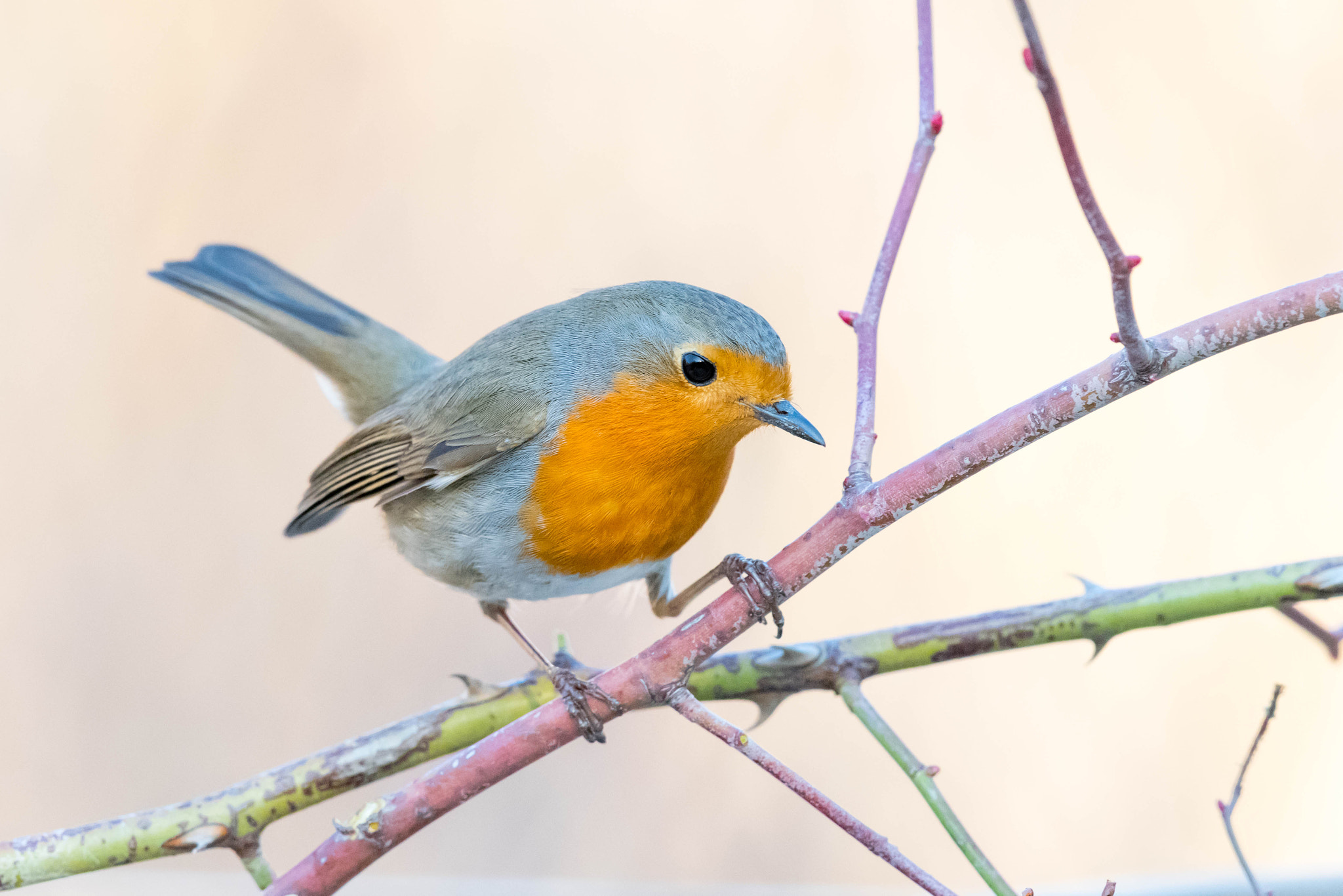 a step forward by Magi Franquesa / 500px