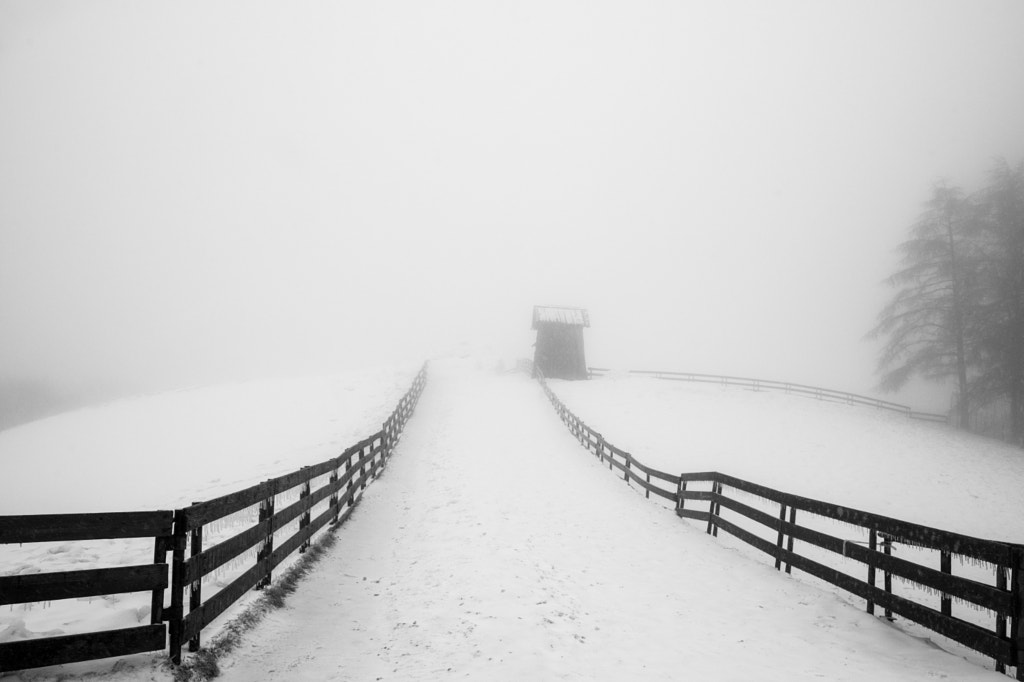snow ranch by Morosoph Yun / 500px