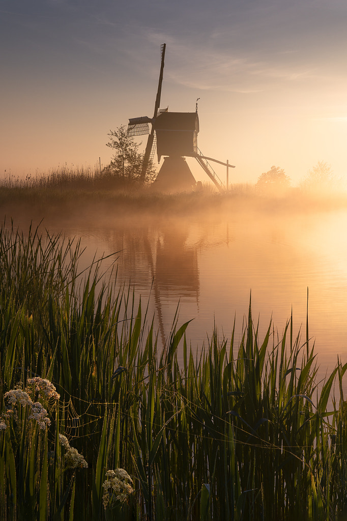 Spring is coming. by Iván Maigua / 500px