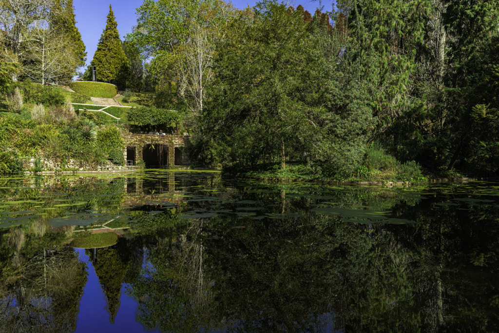 Jungle boogie by Dimitris Mylonas / 500px