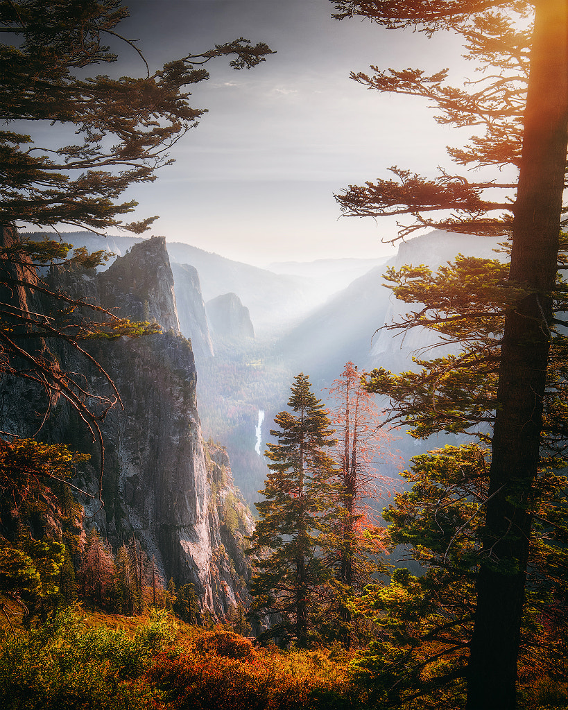A golden valley by Tomas Havel / 500px
