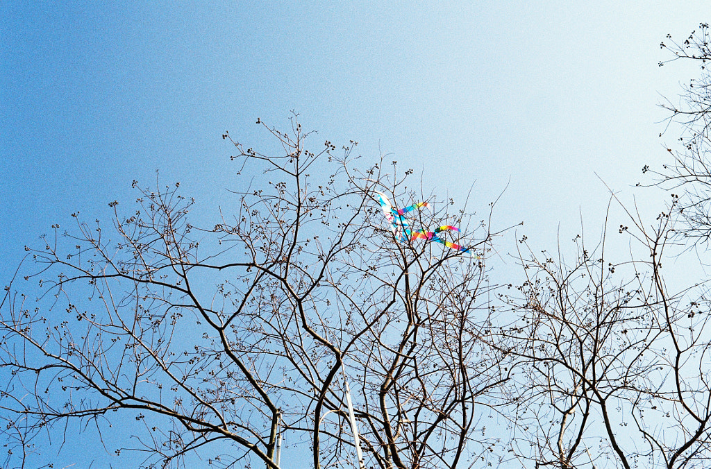 依恋 by Qihang Zhang / 500px
