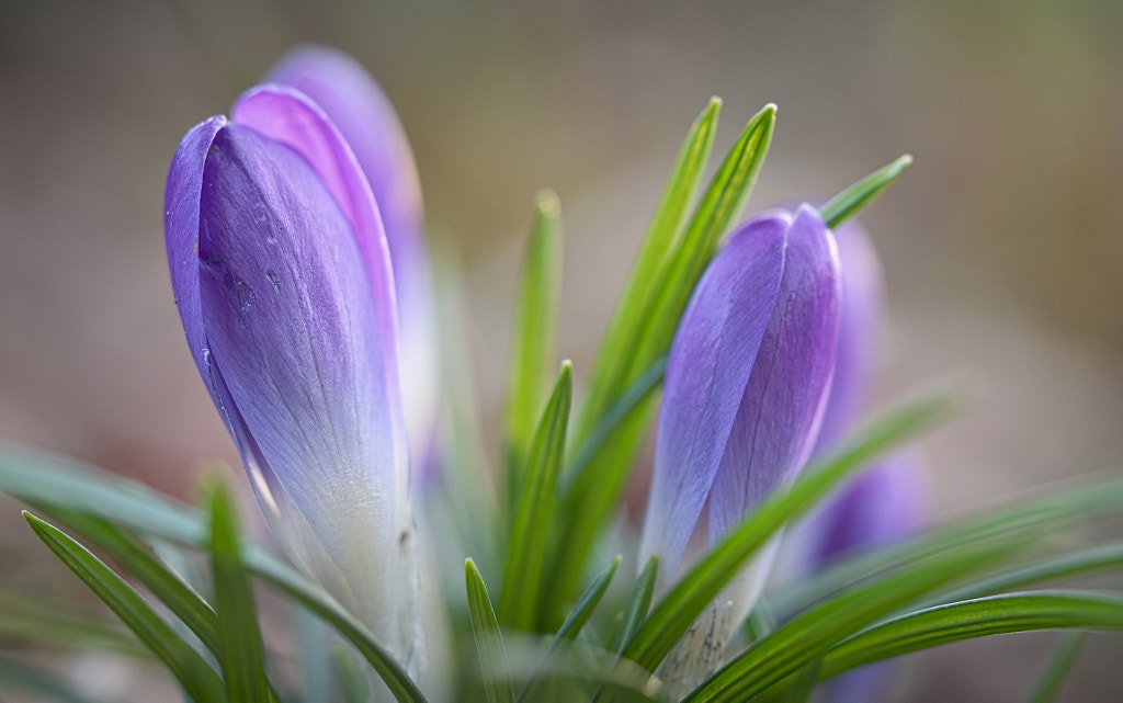 fresh out by koaxial / 500px