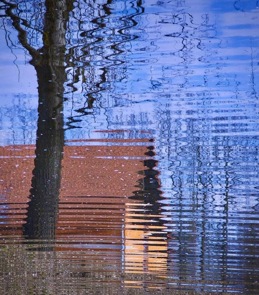 On the riverside. Reflection by Eva Ghersi Obrslikova / 500px