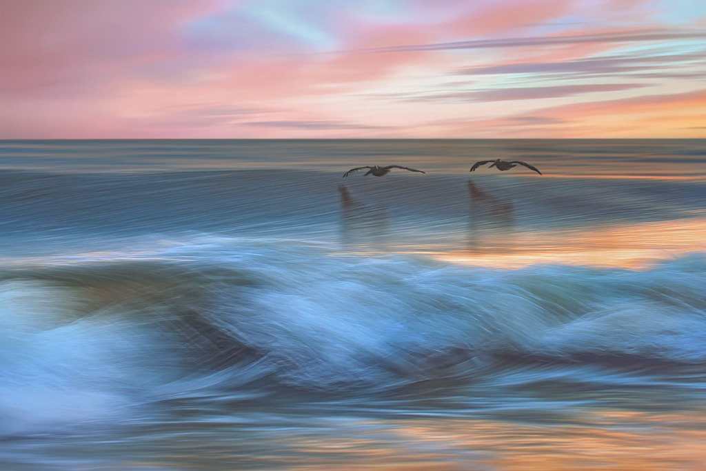 Pelican Wavescape by Mark Metternich / 500px
