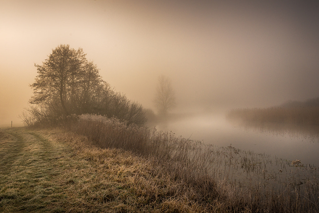 Foggy morning by Josko Simic / 500px