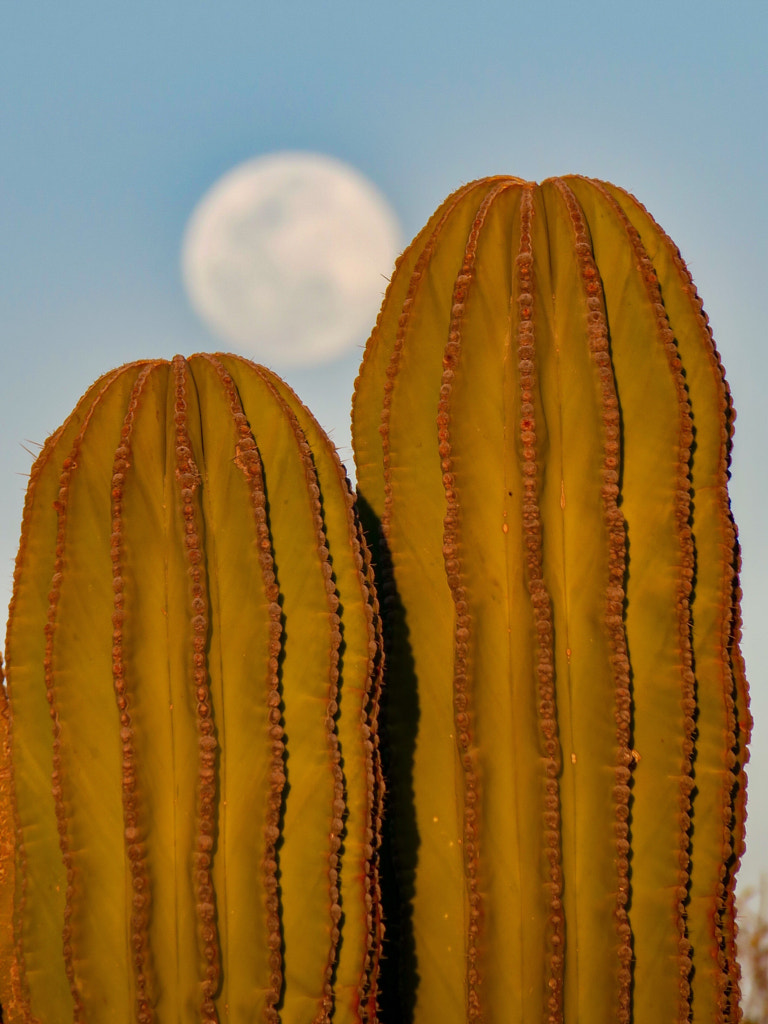 The Full Moon Monuments by Spacewalk / 500px