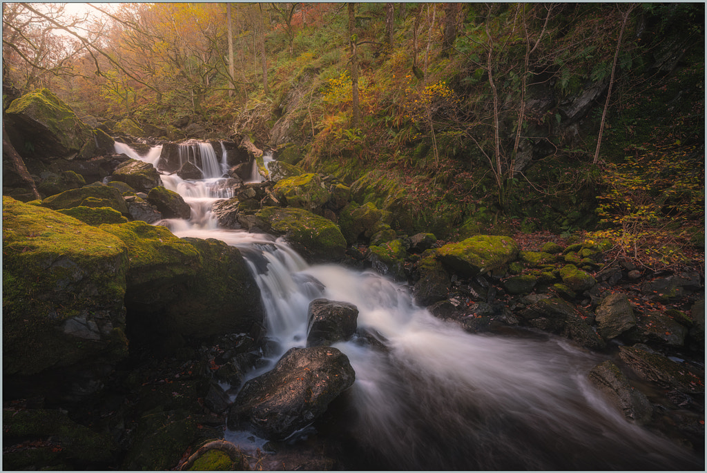 Liquid Light | Vaporising by Gaël Caro / 500px