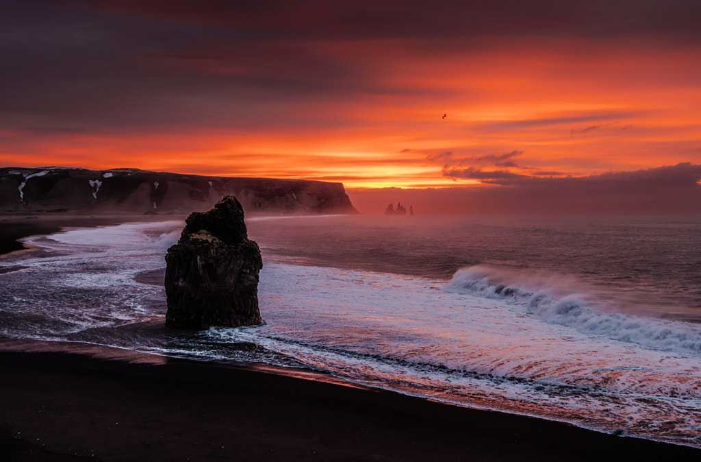The Beauty of Vik by David Dai / 500px