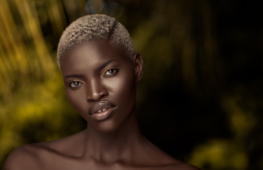 Simpore by DextDee Livingstone / 500px