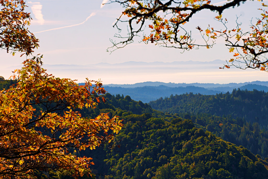 Mountain Layers! by Sushant Tripathi / 500px