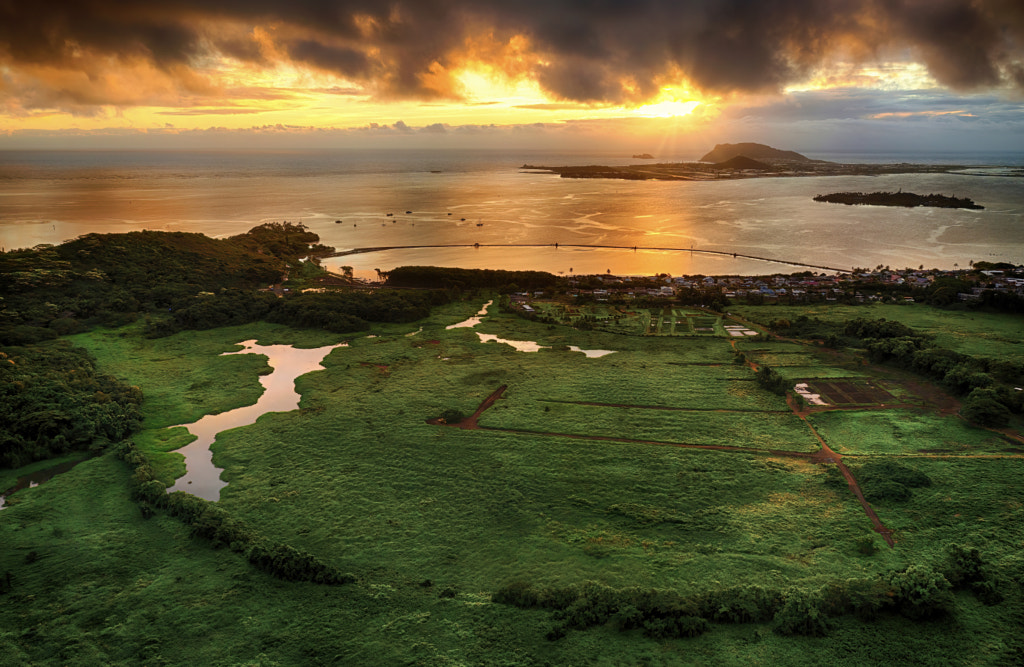 Dawn Over Heeia Wetlands by Warren Ishii / 500px