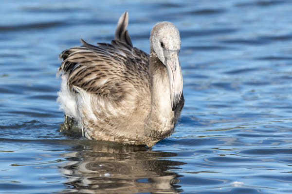 Frédéric Protat (fredericprotat) Profile / 500px