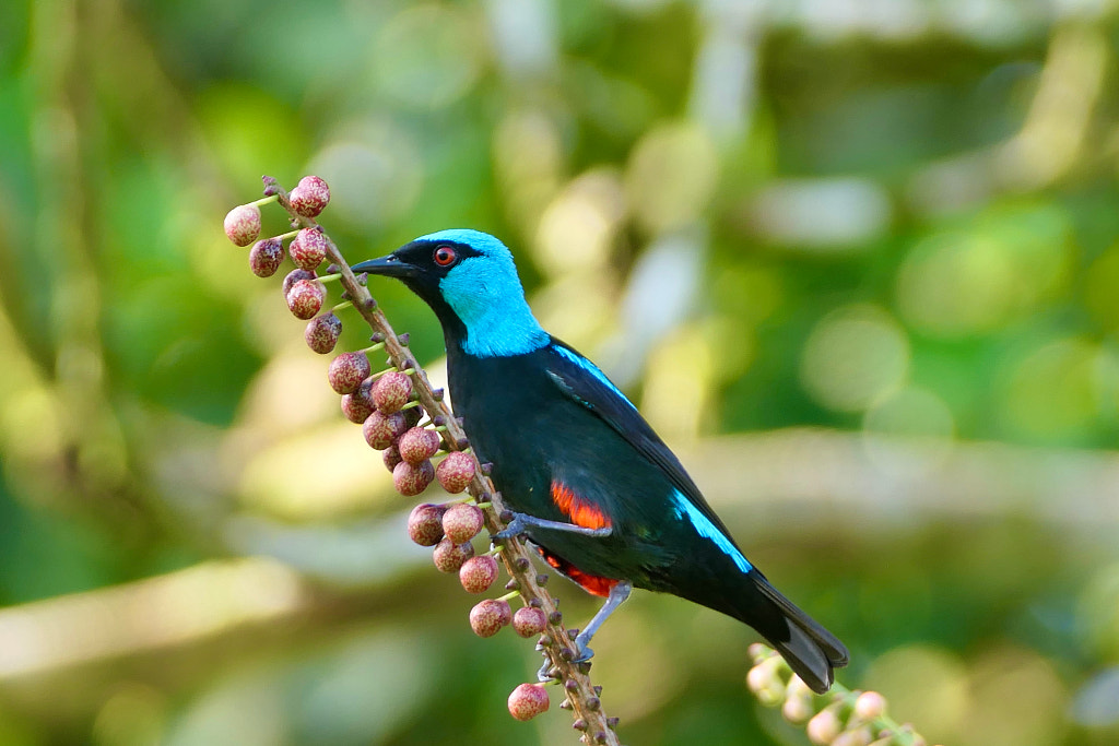 Beautiful and colorful by Svetlana Povarova Ree / 500px