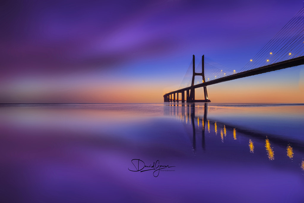 ~~ The First Lights ~~ by David Gomes / 500px