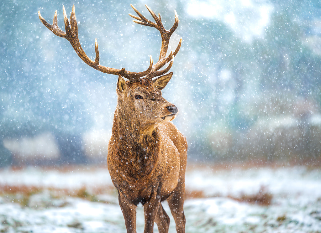 ...COOL....runnings..... by Trevor Wilson / 500px