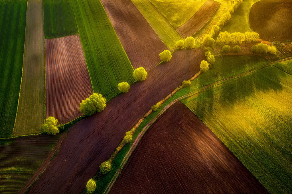 Spring time by Jakub Perlikowski / 500px