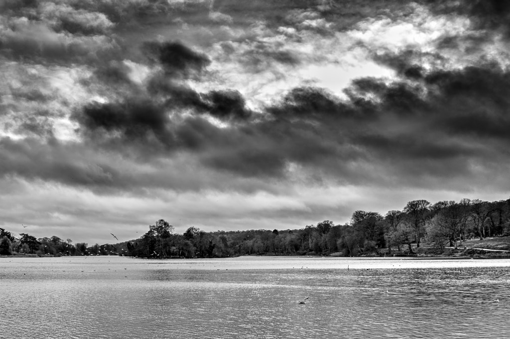 Trentham Lake on a Cloudy Day by GrahamM Creative / 500px