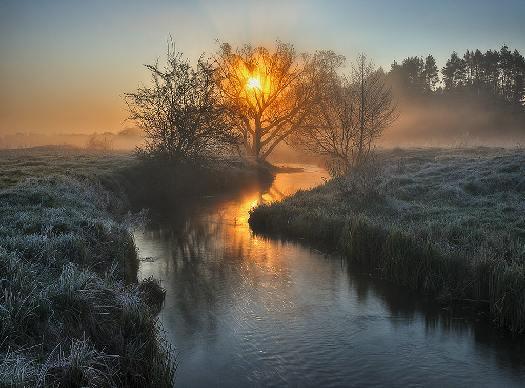 Spring morning by Sergey Nesterchuk / 500px