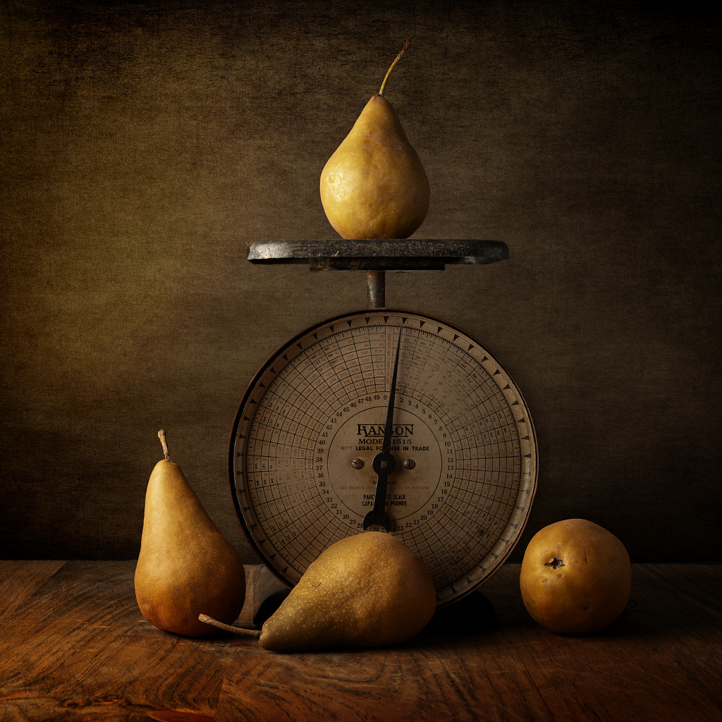 Weighting in by Maureen Mackenzie Award winning Photographer / 500px