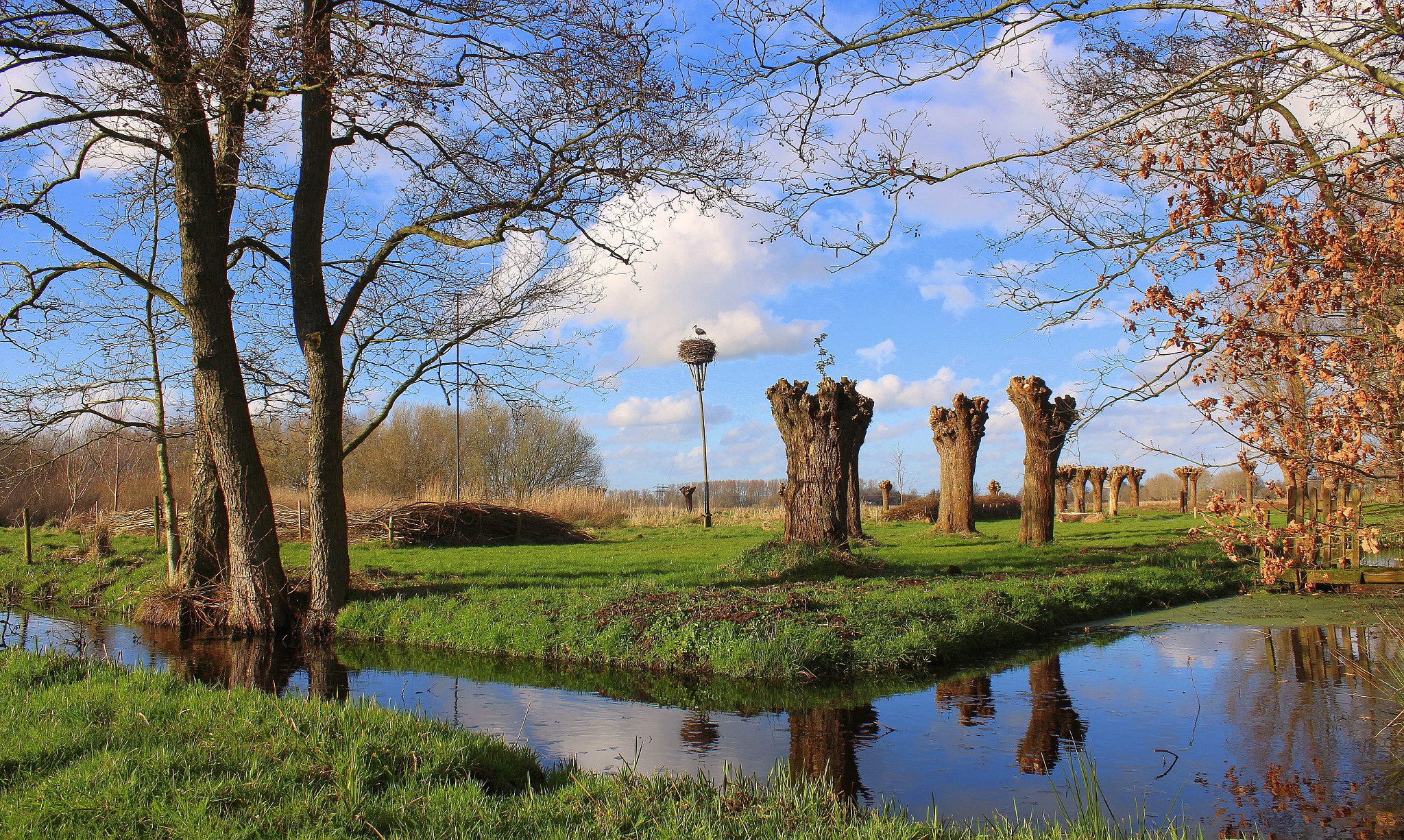 Forest, pools and swamp by Oomke Wiltjer / 500px